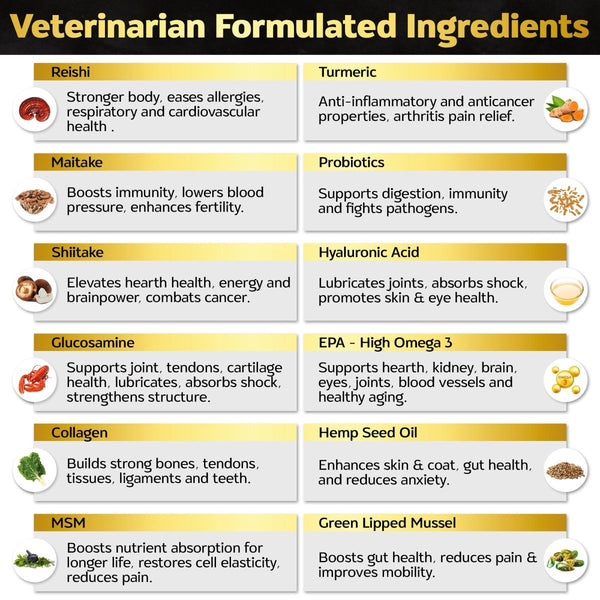 12 in 1 Multivitamin Soft Chew Supplements for Dogs – Life4legs